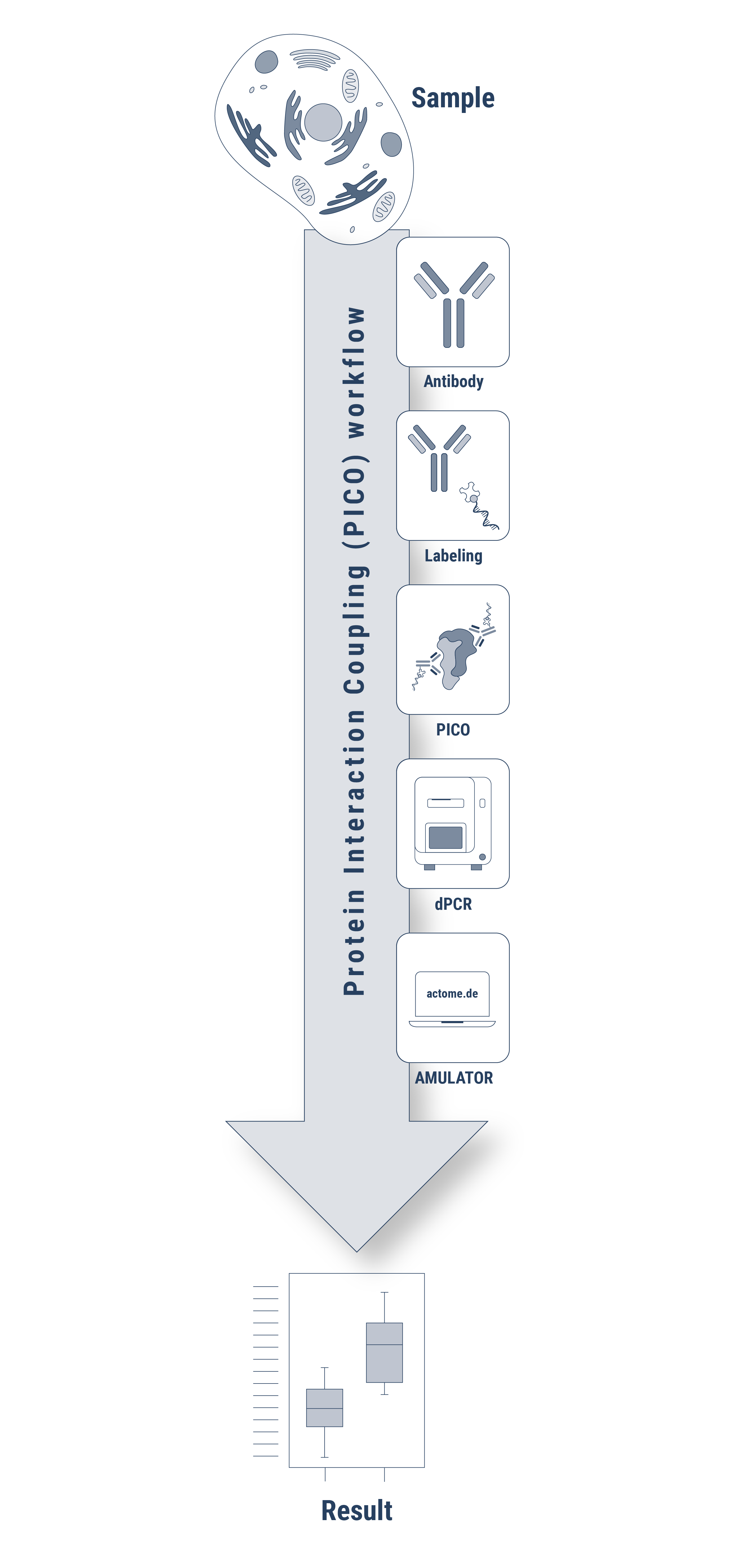 PICO Custom Assay Development Service – Actome c/o PICO BioScience GmbH
